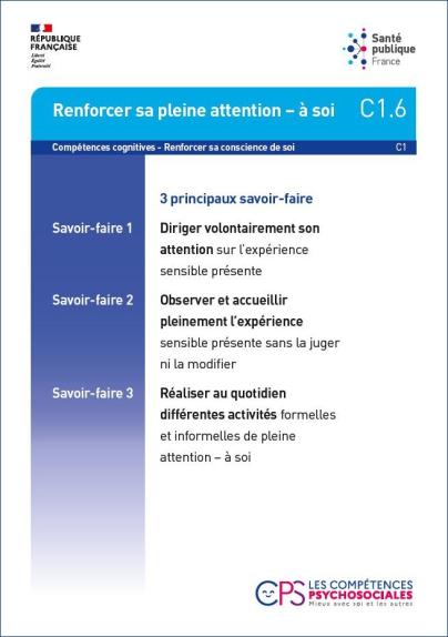 Cognitive CPS Worksheet: Developing Full Attention – Toward Oneself (C1 ...